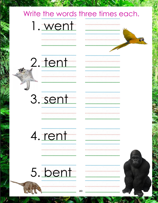 jungle verbs