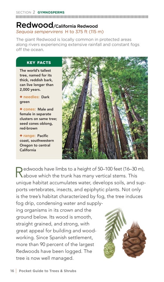 National Geographic Pocket Guide to the Trees and Shrubs of North ...
